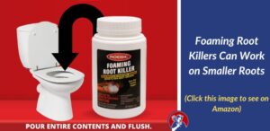 How to Get Rid of Tree Roots in Sewer Line (2025 Guide)